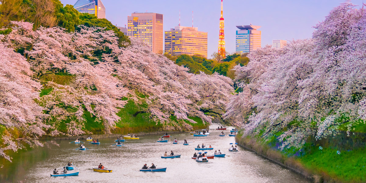 Japonya'da Gezilecek Yerler Listesi - Sixt Türkiye